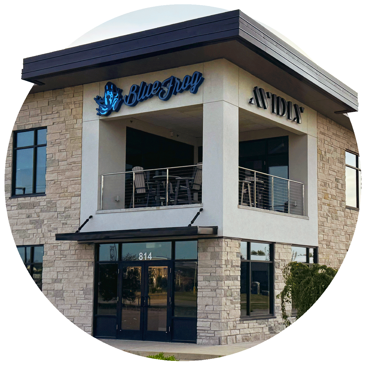 Blue Frog | Dynamic Growth Agency and Elite HubSpot Partner