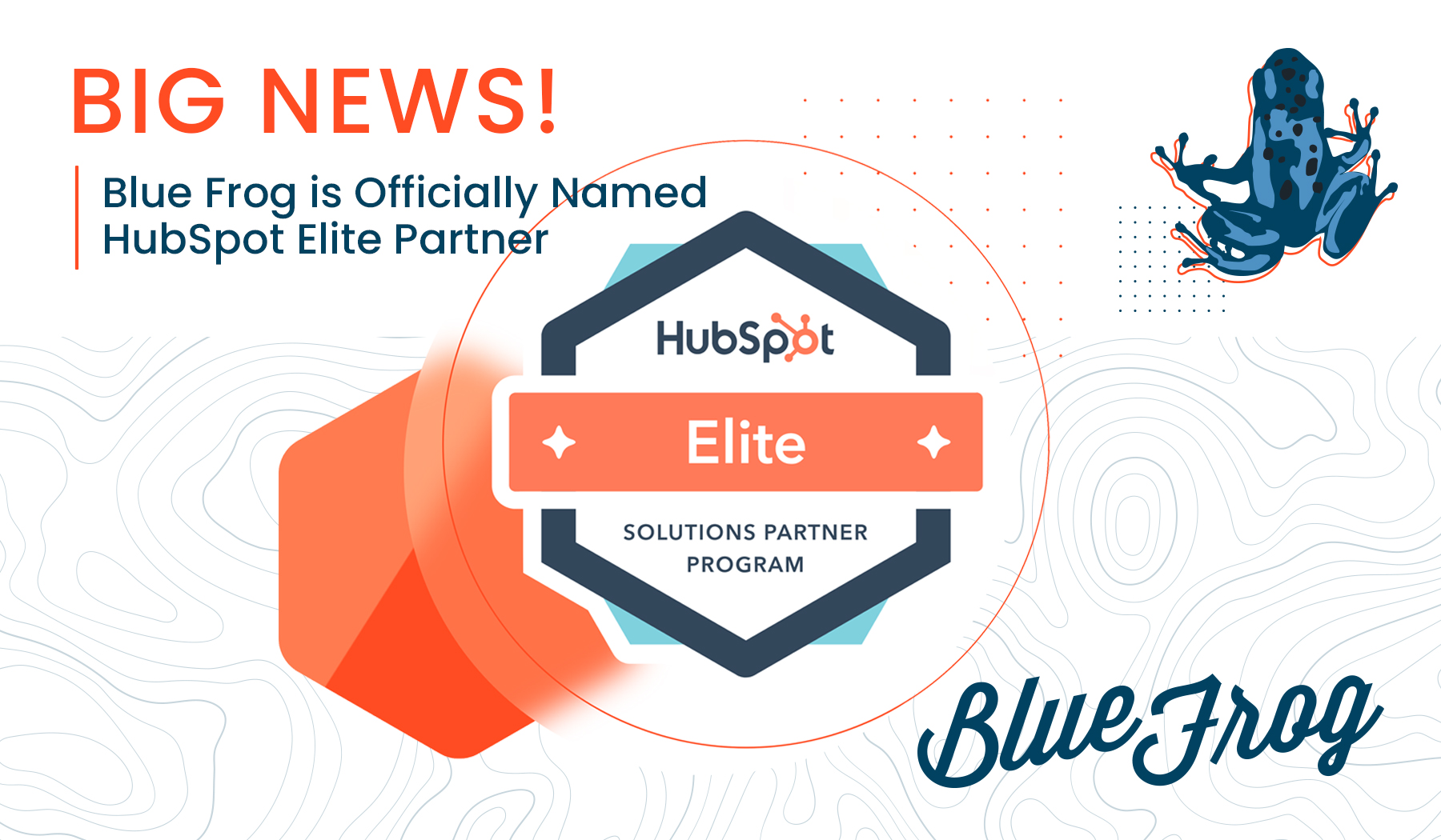 Blue Frog | Dynamic Growth Agency and Elite HubSpot Partner